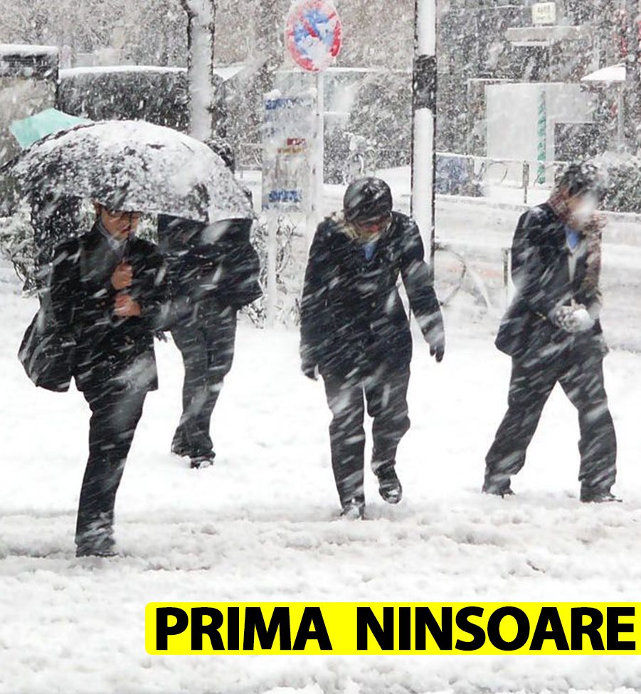 ANM A FĂCUT DEJA ANUNȚUL. CÂND VA FI PRIMA NINSOARE ÎN ROMÂNIA