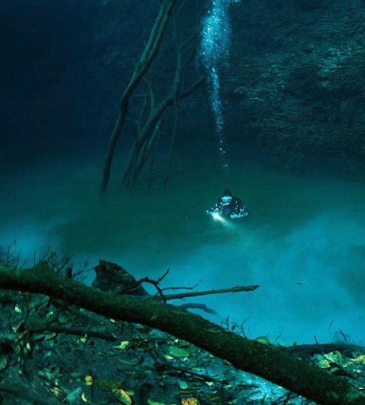 Râul subacvatic, cu frunze, copaci şi cascade, de pe fundul Mării Negre ...