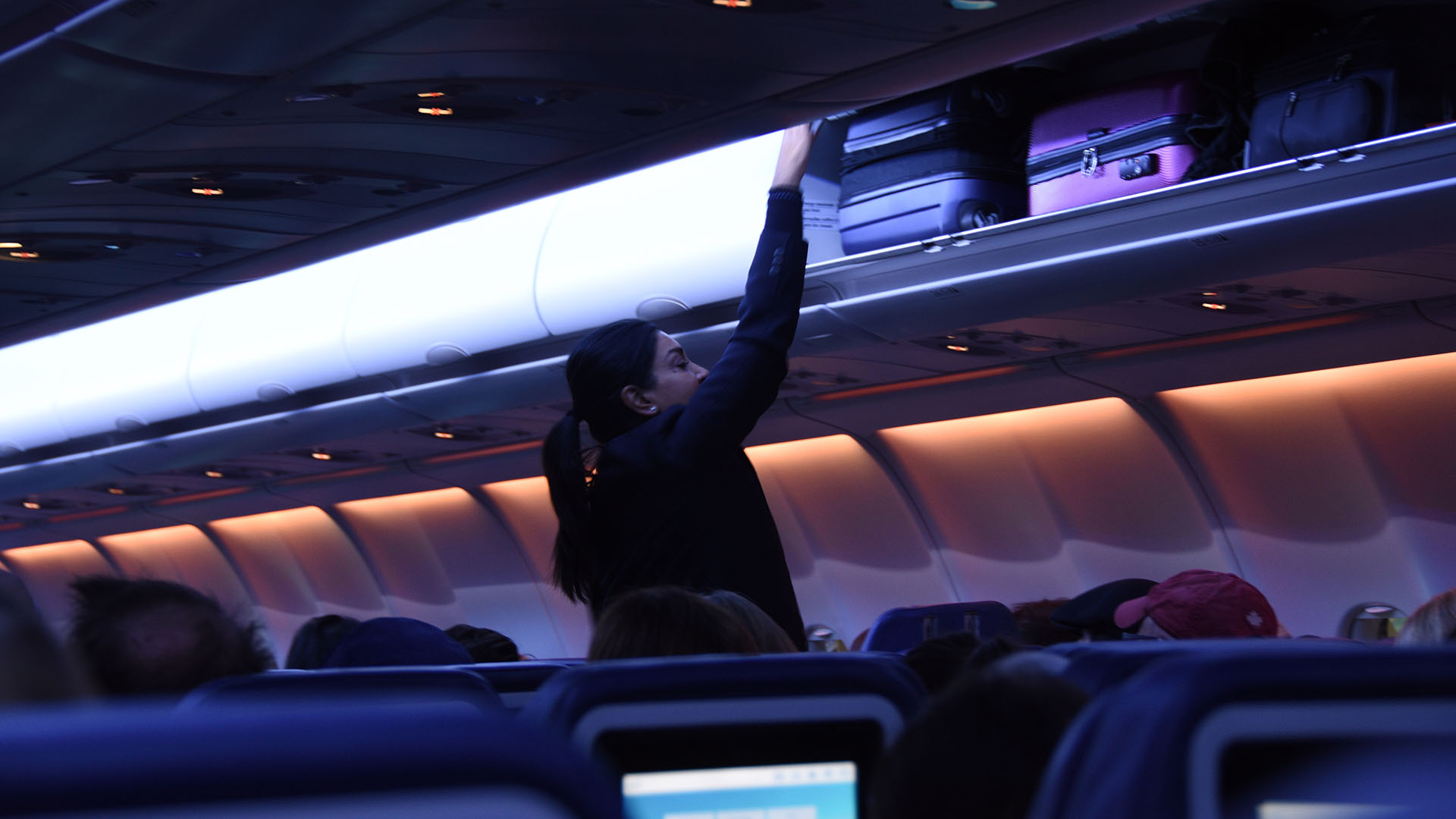 Descoperire șocantă. Ce a putut găsi o stewardesă în toaleta unui avion ...